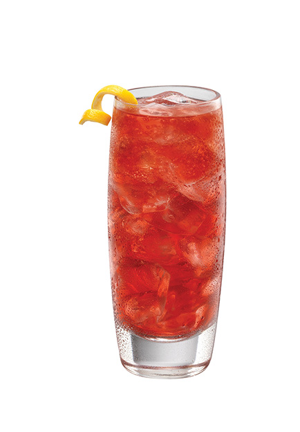 Lemon Berry Fizz
