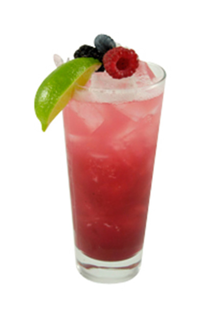 Summer Berry Spritzer